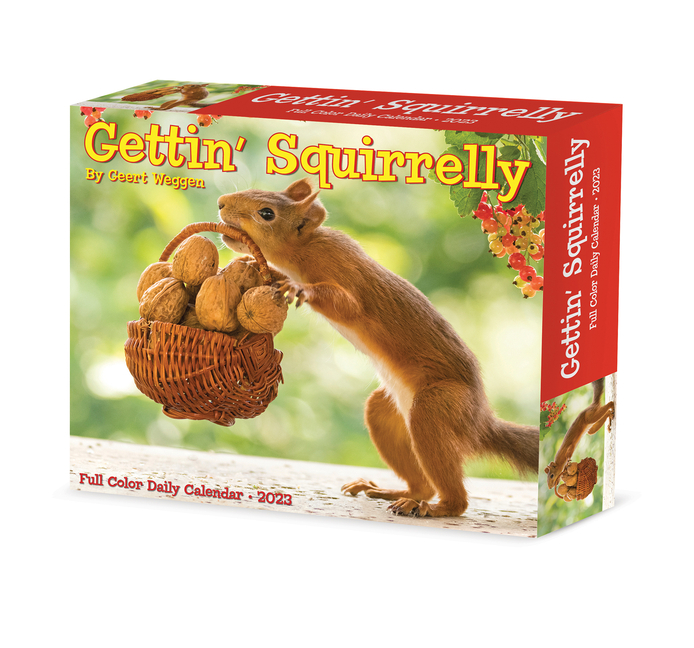 Gettin' Squirrelly 2023 Box Calendar (Other) - Walmart.com