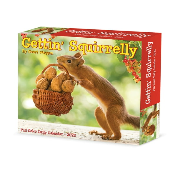 Gettin' Squirrelly 2023 Box Calendar (Other) - Walmart.com