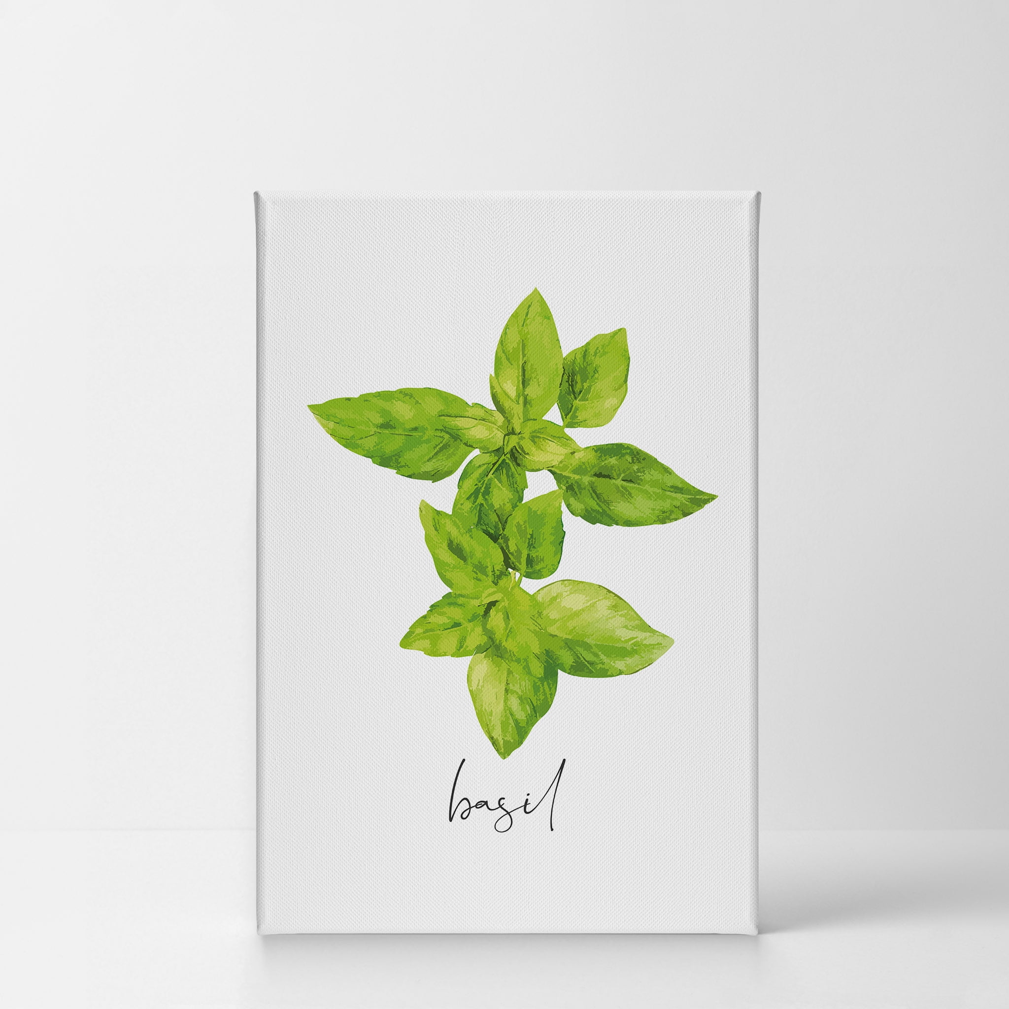 Basil Leaf Artwork
