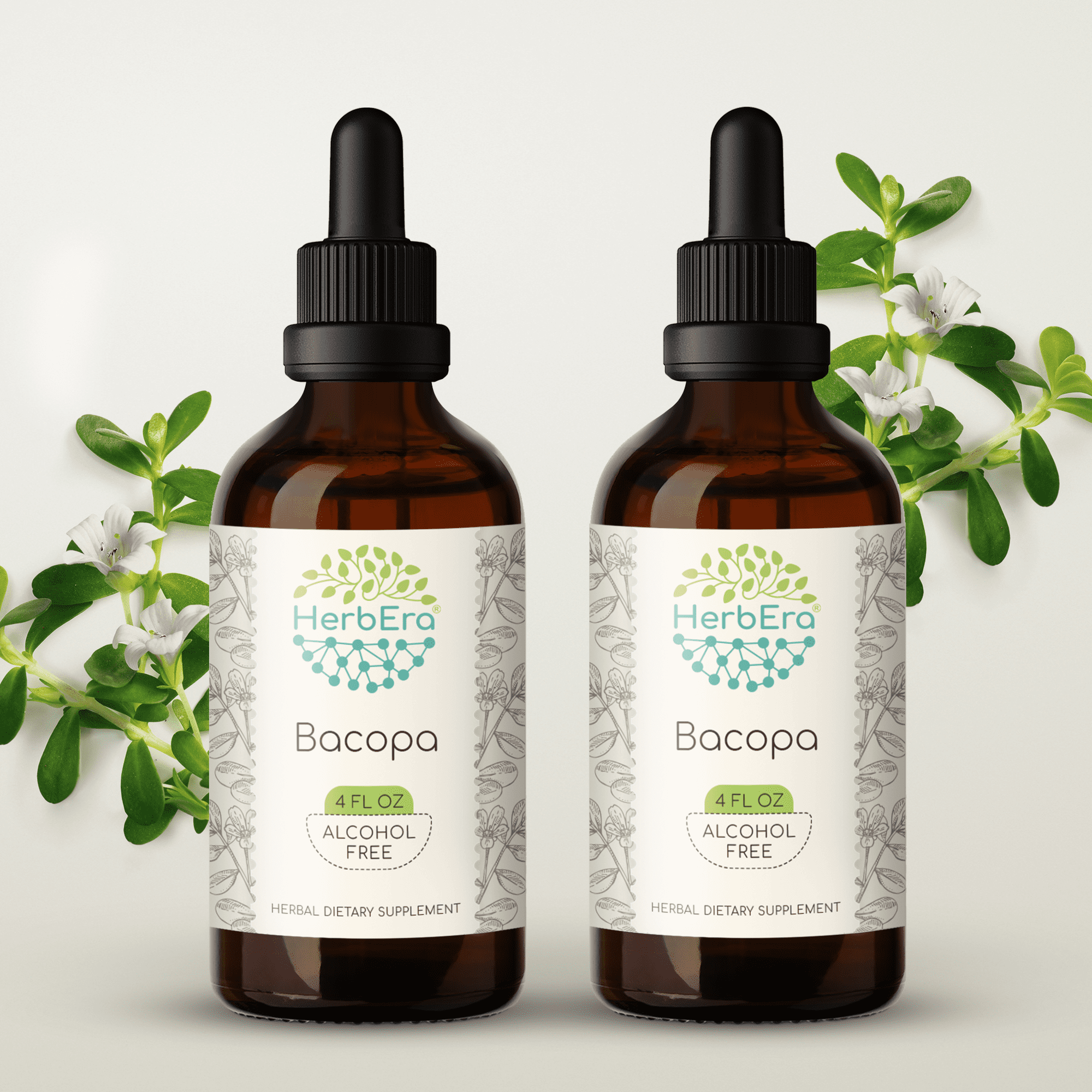 Bacopa Alcohol-FREE Herbal Extract Tincture, Super-Concentrated Organic ...