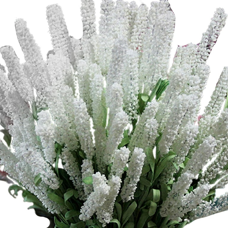 Stay Fresh Stems