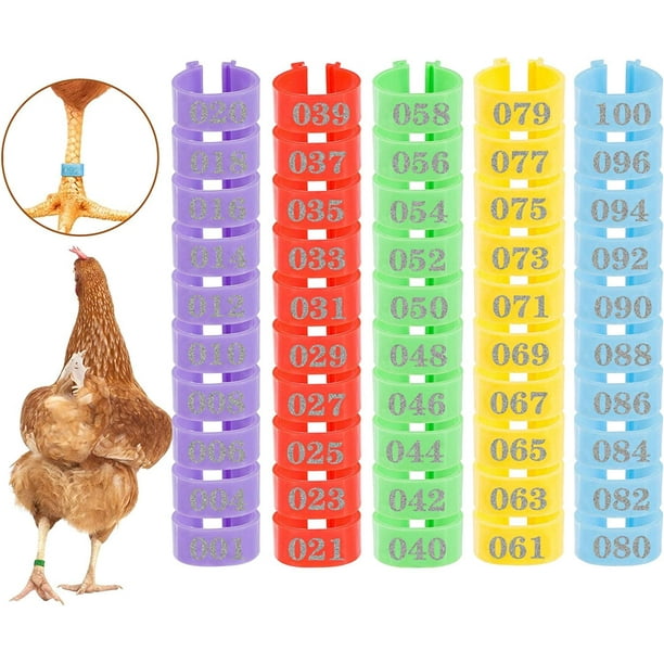 GFDYREE 100 Pcs Chicken Leg Rings- Mix Color 100 Numbered Tag Markers ...