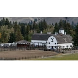 Yellowstone 20" x 30" Rustic Two-Tone Kitchen Mat, Kayce Collection ...