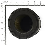 Briggs and Stratton Air Filter (4 of 841497) - Walmart.com