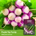 Purple Top Turnip Seeds for Planting | Heirloom Root Vegetable ...