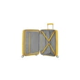 Curio 29'' Hardside Spinner Luggage - Walmart.com