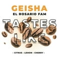 Diana's Coffee | Geisha | El Rosario farm | Whole Bean | 12 oz (340g ...