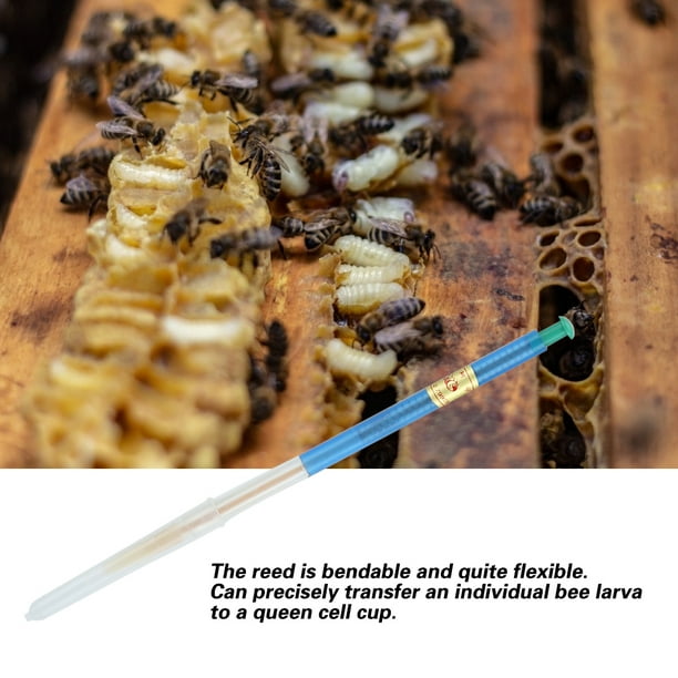 Beekeeping Honey Bee Larvae Queen Rearing Tool, Grafting Tools Bee ...