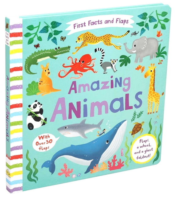 First Facts and Flaps: First Facts and Flaps: Amazing Animals (Board ...