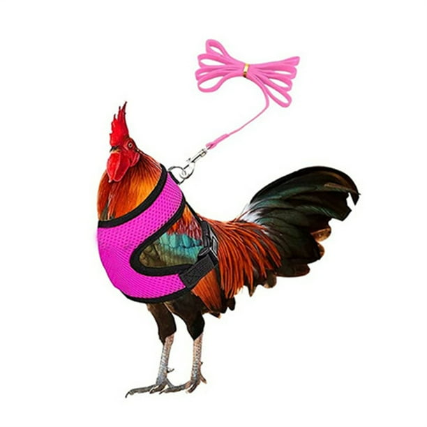 Visland 1 Set Chicken Harness with Leash Breathable Adjustable Chicken ...
