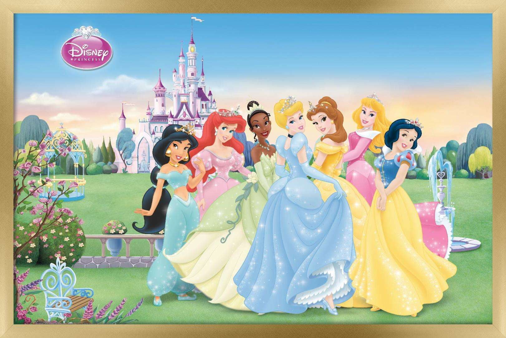 Disney Princess - Collection Wall Poster, 14.725" x 22.375", Framed ...