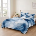 Abstract Blue Marble Texture 3 Pieces Quilt Set,1 Quilt with 2 Shams ...