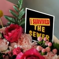 3drose, I Survived the Sewer Survial Pride and Humor Design, 6 Greeting ...