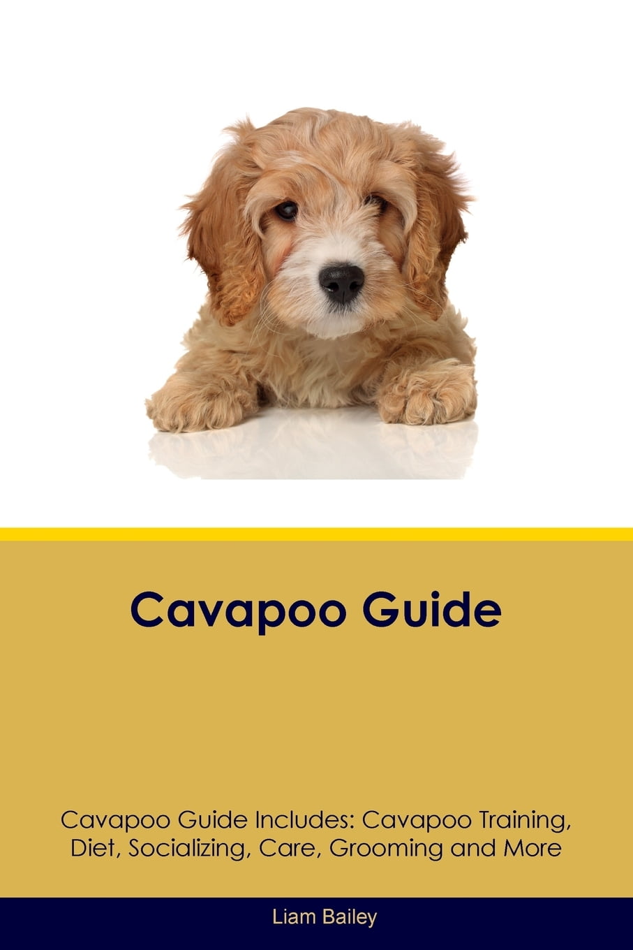 Cavapoo Guide Cavapoo Guide Includes : Cavapoo Training, Diet ...