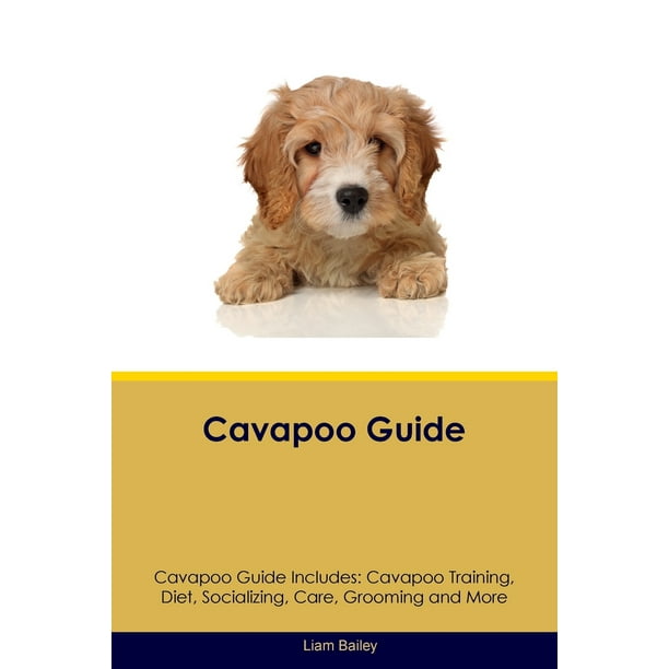 Cavapoo Guide Cavapoo Guide Includes : Cavapoo Training, Diet ...