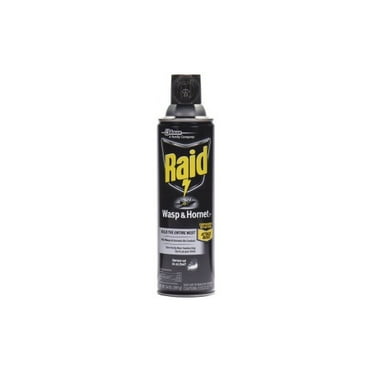 Raid Wasp & Hornet Killer Spray 14 oz - Walmart.com