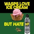 Raid Defend Wasp & Hornet Killer, Outdoor Flying Insect Spray, 14 oz, 3 ...