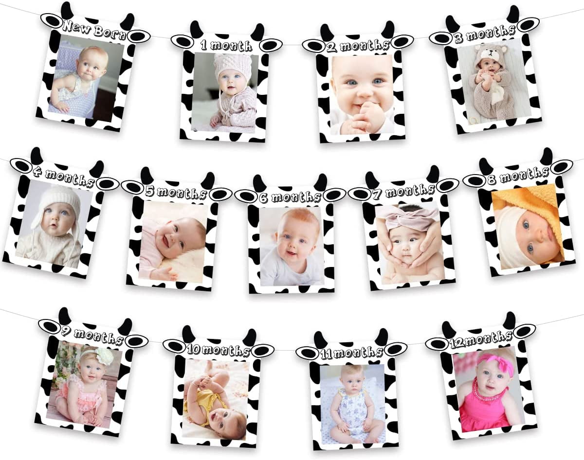 13PCs Cow 12 Month Photo Banner - 1st Birthday Baby Banner for Newborn ...