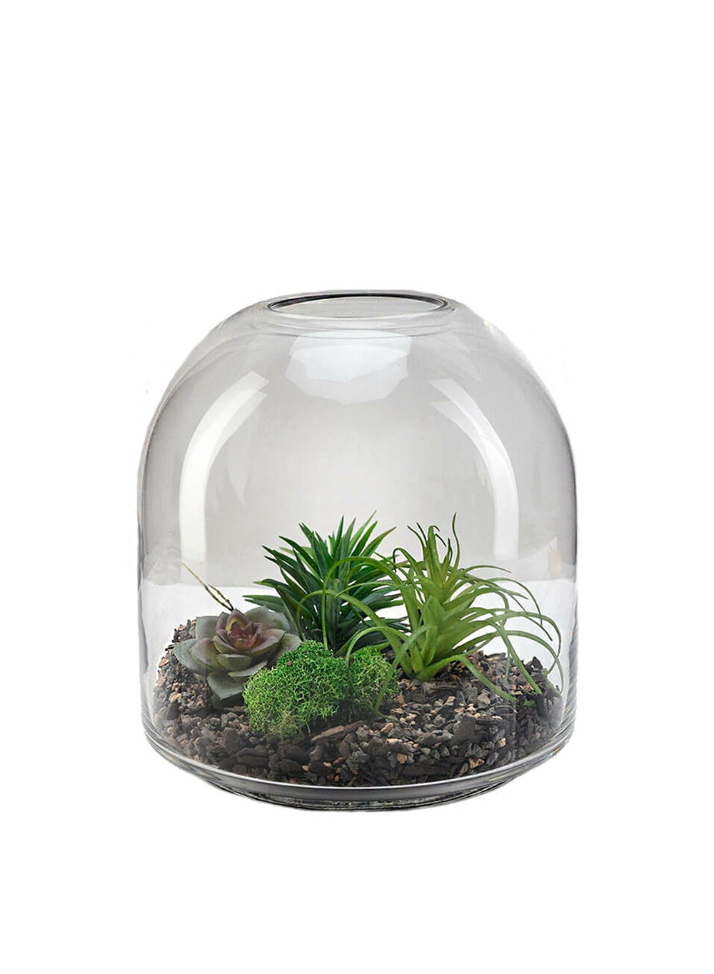 Serene Spaces Living Small Clear Glass Terrarium, 7.75"Diameter & 7.75 ...