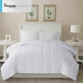 Comfort Classics 3M Thinsulate Down Alternative Comforter, Level 2 ...
