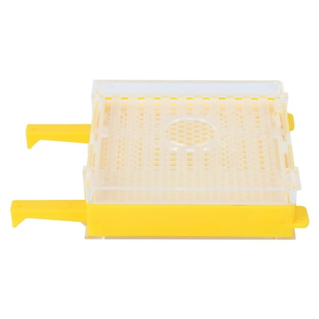 Equipped With A Queen Rearing Box Queen Rearing Kit, Reliable Queen ...