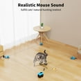 Upgraded Interactive Cat Toy for Indoor Cats, Auto/Manual Control DIY ...