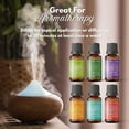 White Naturals, Essential Oils Kit, 6 X 10ML, Diffuser Fragrance Set ...
