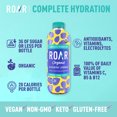 ROAR Organic Complete Hydration Drink, Blackberry Lemonade, 12 x 18 oz ...