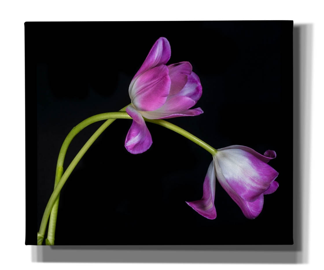 Epic Graffiti 'Just The Two Of Us' by Pamela Plummer, Canvas Wall Art ...