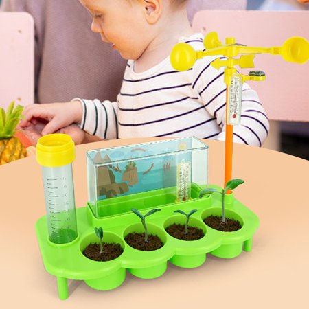 Cheers Science Toy Interactive Educational Handmade Science Experiment ...