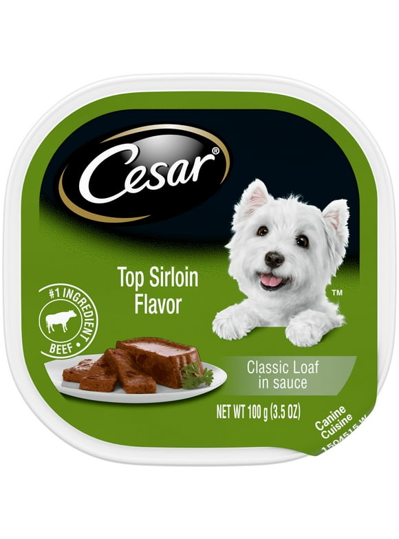 Cesar Dog Food in Shop By Brand - Walmart.com