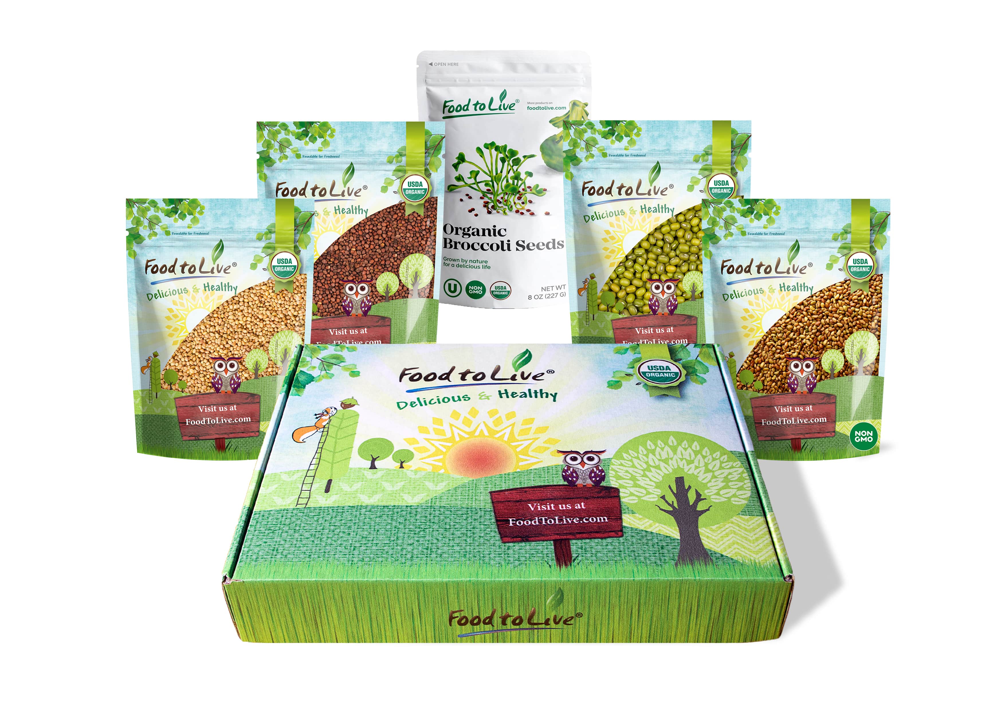 Organic Sprouting Seeds in a Gift Box - A Variety Pack of Broccoli ...