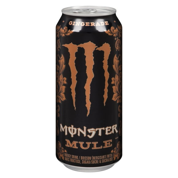Monster Energy | Walmart Canada