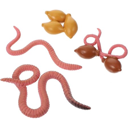 Animal doll plastic earthworm life cycle doll realistic earthworm model ...