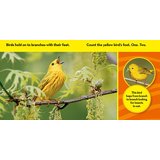 Birds (Board Book) - Walmart.com