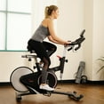 Sunny Health & Fitness Magnetic Belt Rear Drive Indoor Cycling Bike ...