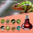 HARTOMPET 100W UVA Infrared Heat Lamp, Red Basking Spot for Lizards ...