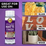 Aleene's Spray Acrylic Sealer Clear Matte 3-Pack, 6 oz. - Matte Finish ...