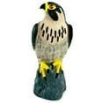 Falcon Decoy Bird Repellent Predator Flashy Reflective Eyes Owl Decoy ...