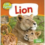 Lion Life Cycle