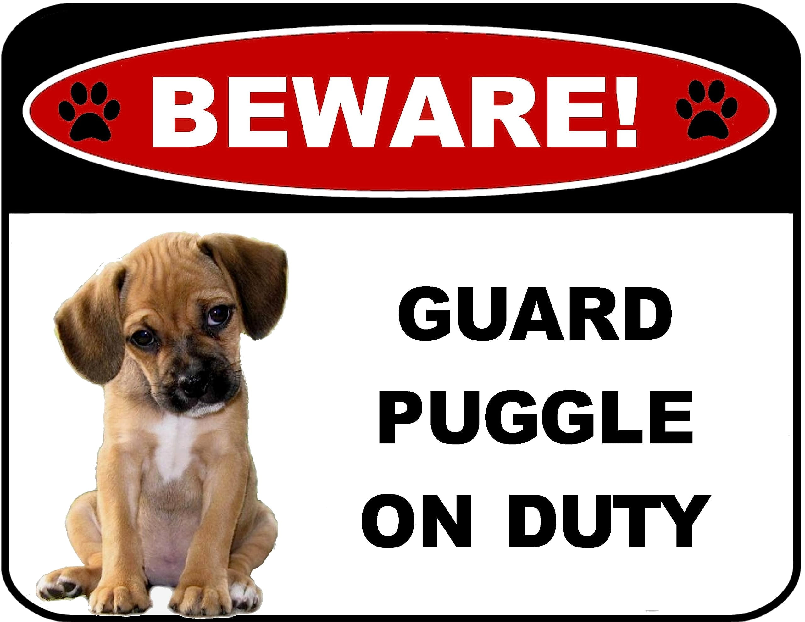 LED Light Up Red Flashing Blinking Attention Grabbing Laminated Dog ...