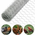 Galvanized Poultry Net - Metal Mesh Fencing / Chicken Wire 2" Holes ...