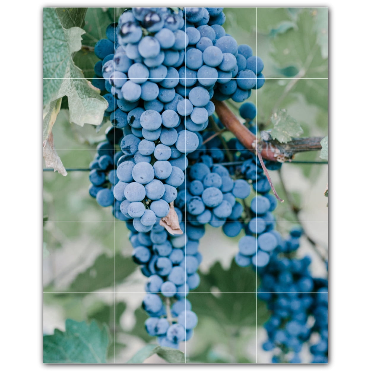 Picture-Tiles.com: Wine Ceramic Tile Wall Mural WAL501210-45XL. 48"W x ...