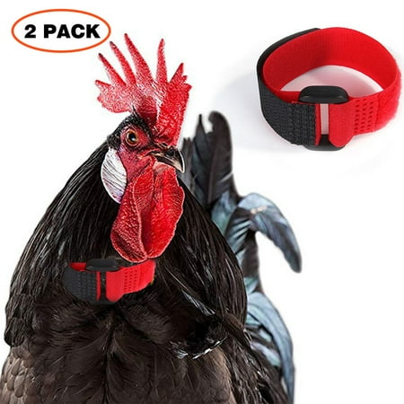 AIHOME Chicken Collar No-Crow Rooster Collar Fowl Neckband Accessories ...