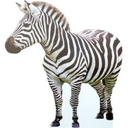 Advanced Graphics 1479 Zebra - 73" x 53" Cardboard Standup - Walmart.com