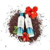 earth Clean Beauty Smooth & Shine Conditioner with Vegan-Keratin and ...