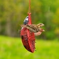 Perky-Pet Ladybug Mesh Wild Bird Feeder - Walmart.com
