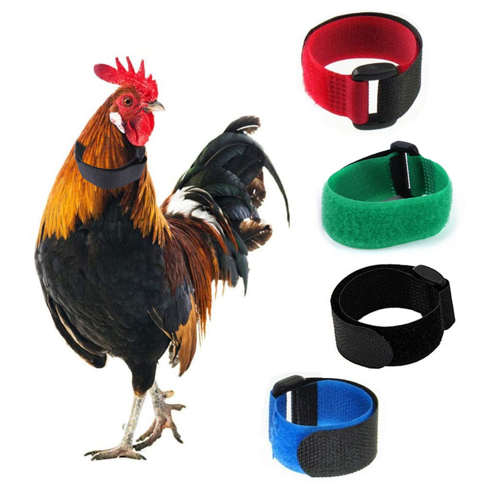 Walbest 2 Pack Anti Crow Rooster Collar Anti Noise Nylon Neck Belt ...