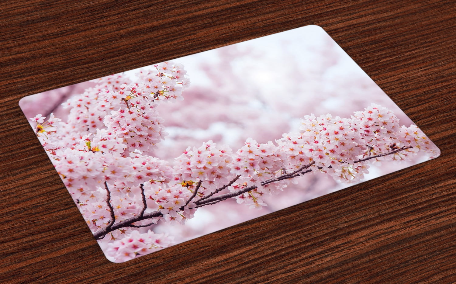 Ambesonne Rainbow Place Mats Set of 4, Vibrant Colored Striped ...