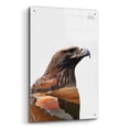 Epic Art 'Eagle' by Clean Nature, Acrylic Glass Wall Art, 24"x36 ...